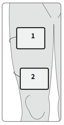 Medic Coach - Using the Thigh Pads – Revitive Aftersales